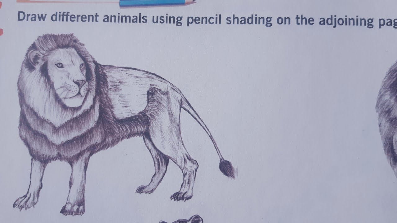 animal drawing, std.8 drawing, artpoint ARTSTUDIO A.VAD Gujarat-Bharat ...