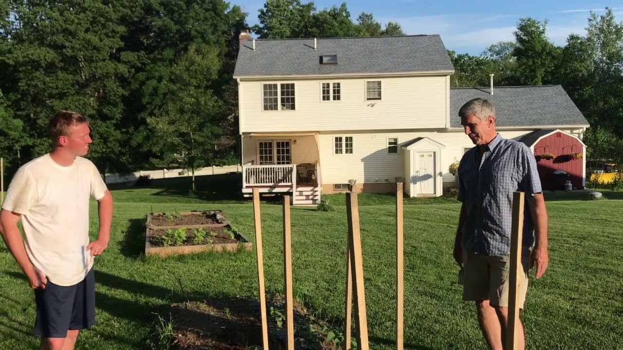 Dividing Rhubarb Plants + Simply Garden Interviews Beginner Backyard Gardeners - YouTube