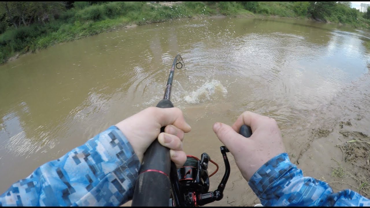 Giant Catfish Landed While Bayou Fishing In Downtown Houston - YouTube