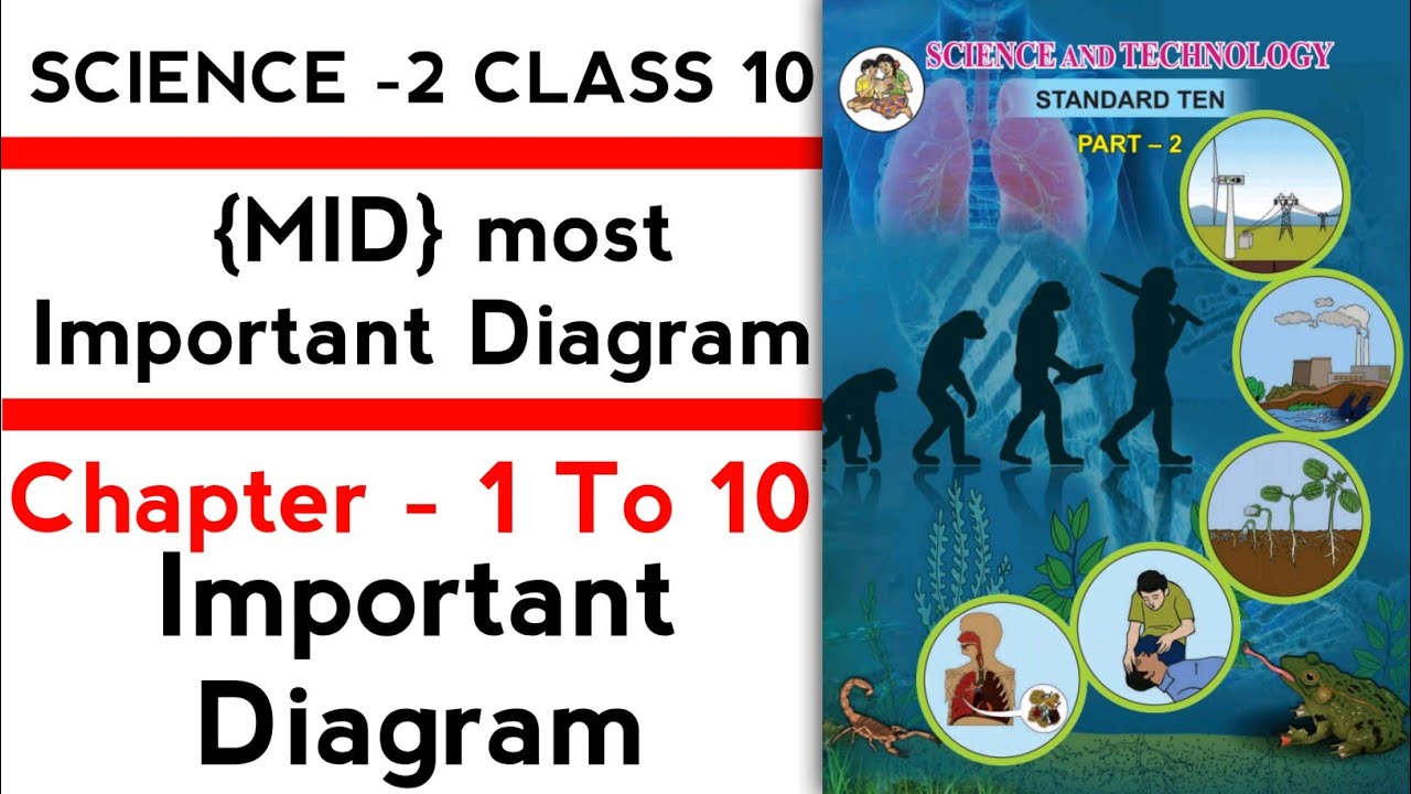 class 10th science all important diagrams | most important diagrams ...