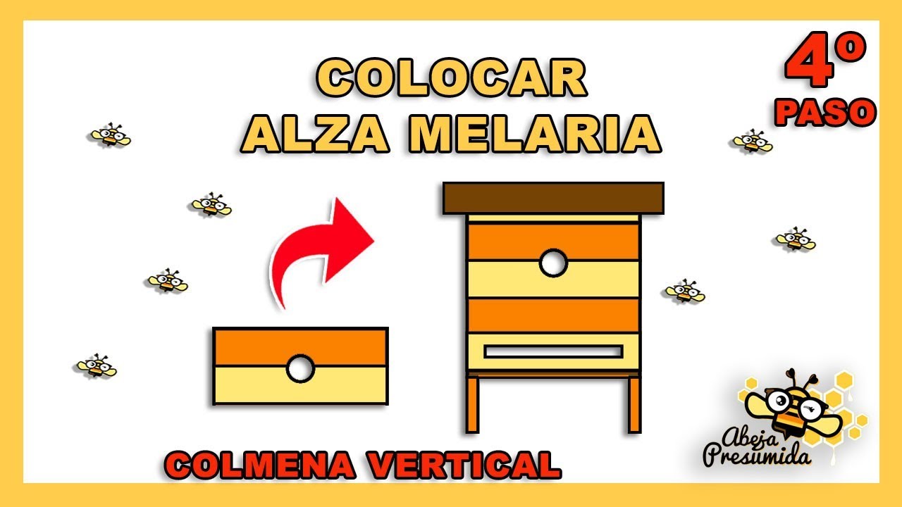 Colocar ALZA Melaria 🐝🧡🎥 Paso 4 - YouTube