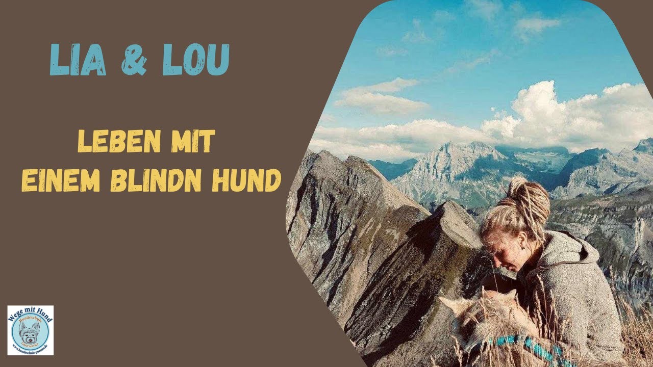 Lia & Lou. Leben mit einem blinden Hund. - YouTube