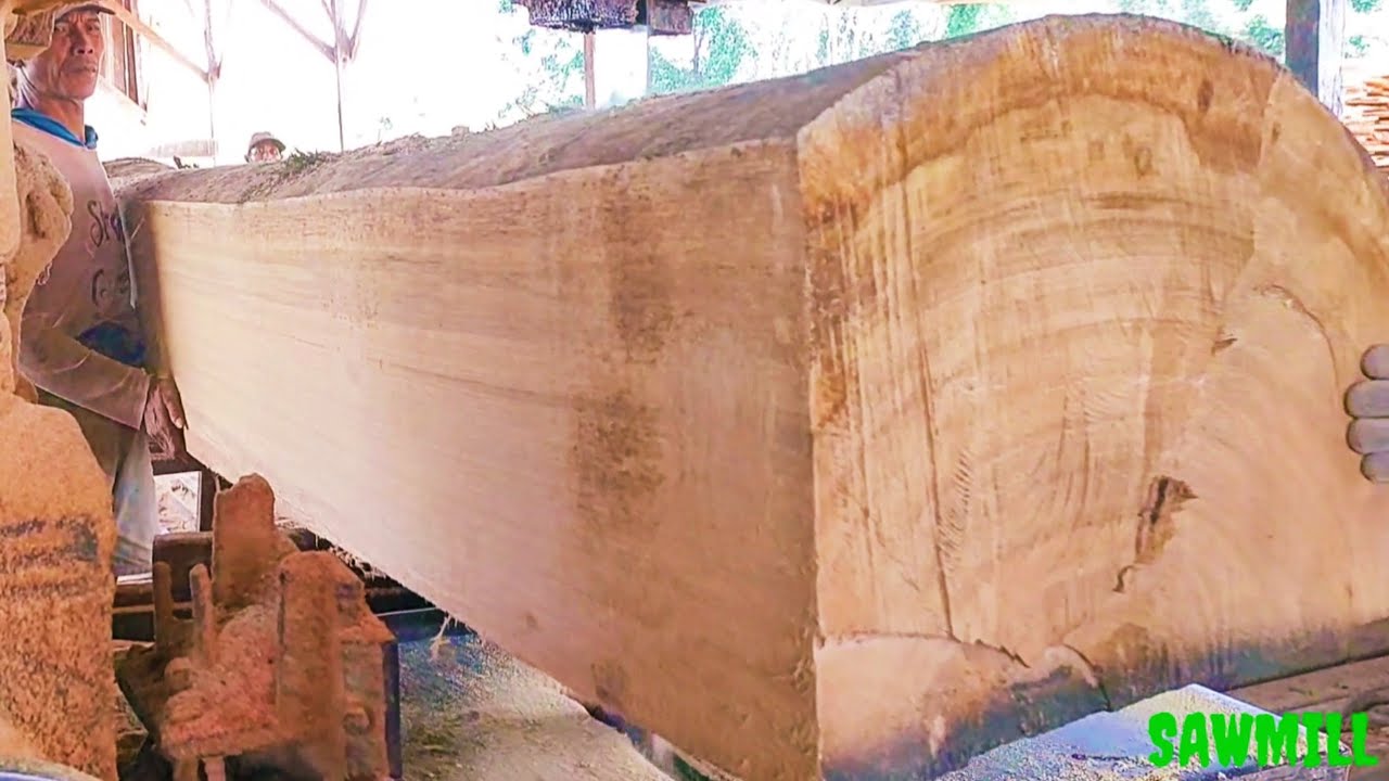 BESAR...,, Penggergajian kayu Meranti putih super besar buat bahan ...