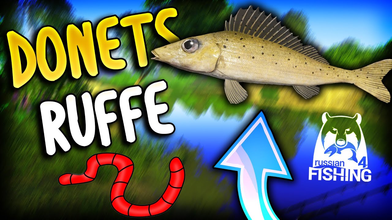 U LOV NA DONETS RUFFE-A (RETKA RIBA) | Russian Fishing 4 - YouTube