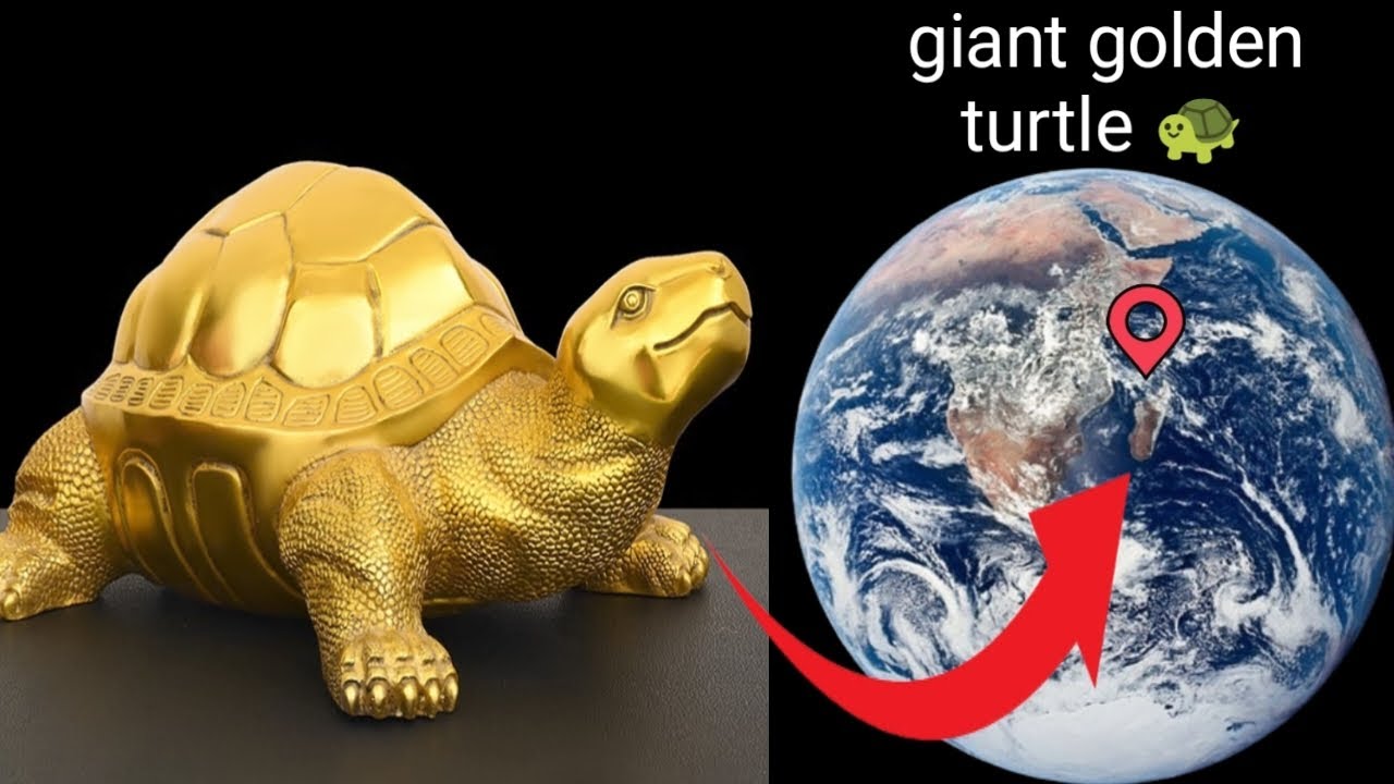 I found giant golden turtle 🐢 in the real Google atha shockingmap - YouTube