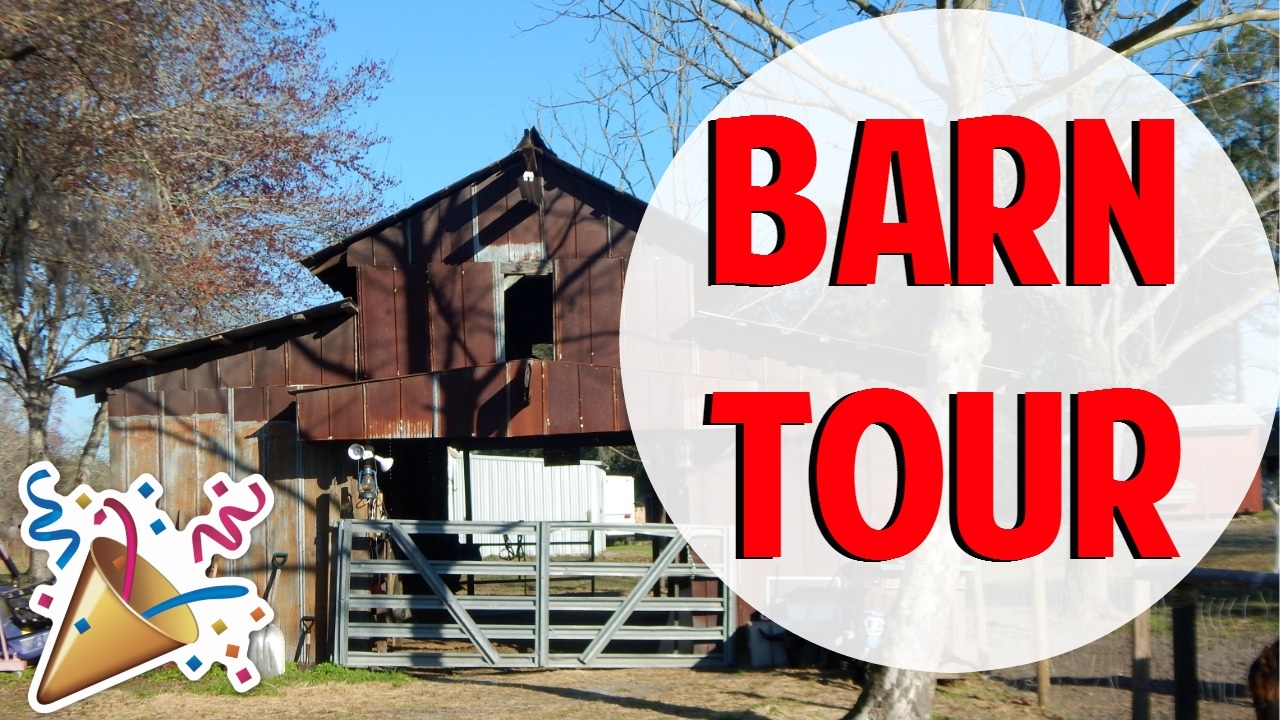 Barn Tour ♥ - YouTube