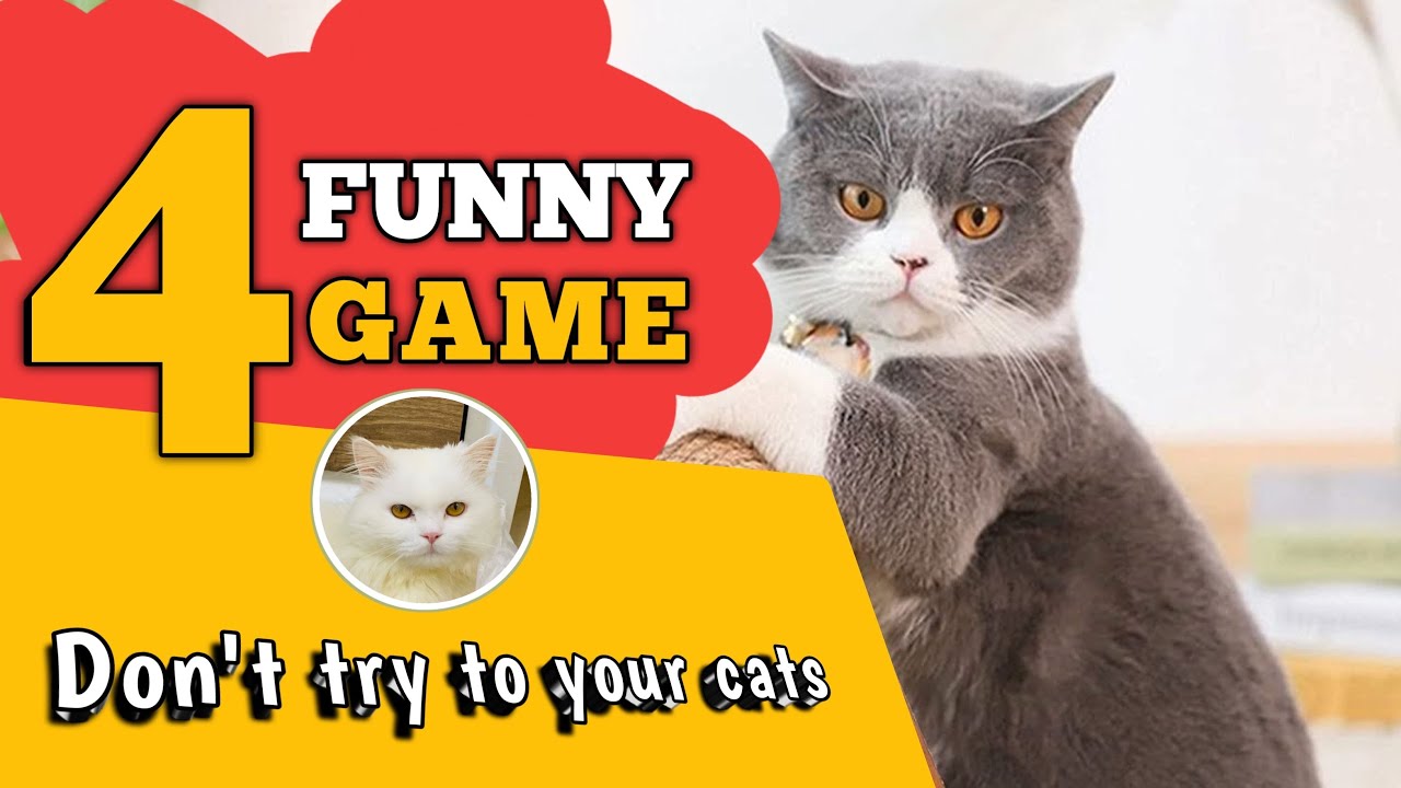 RECUE the my cat world , A new game for the cats - YouTube