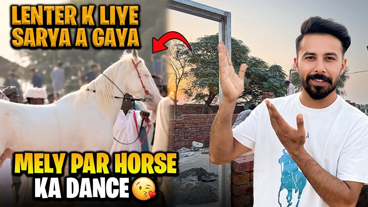 Mele Pe Horse Ka Dance 🐎 Lenger Lai Sariya Agya Aj 😍😍 - YouTube