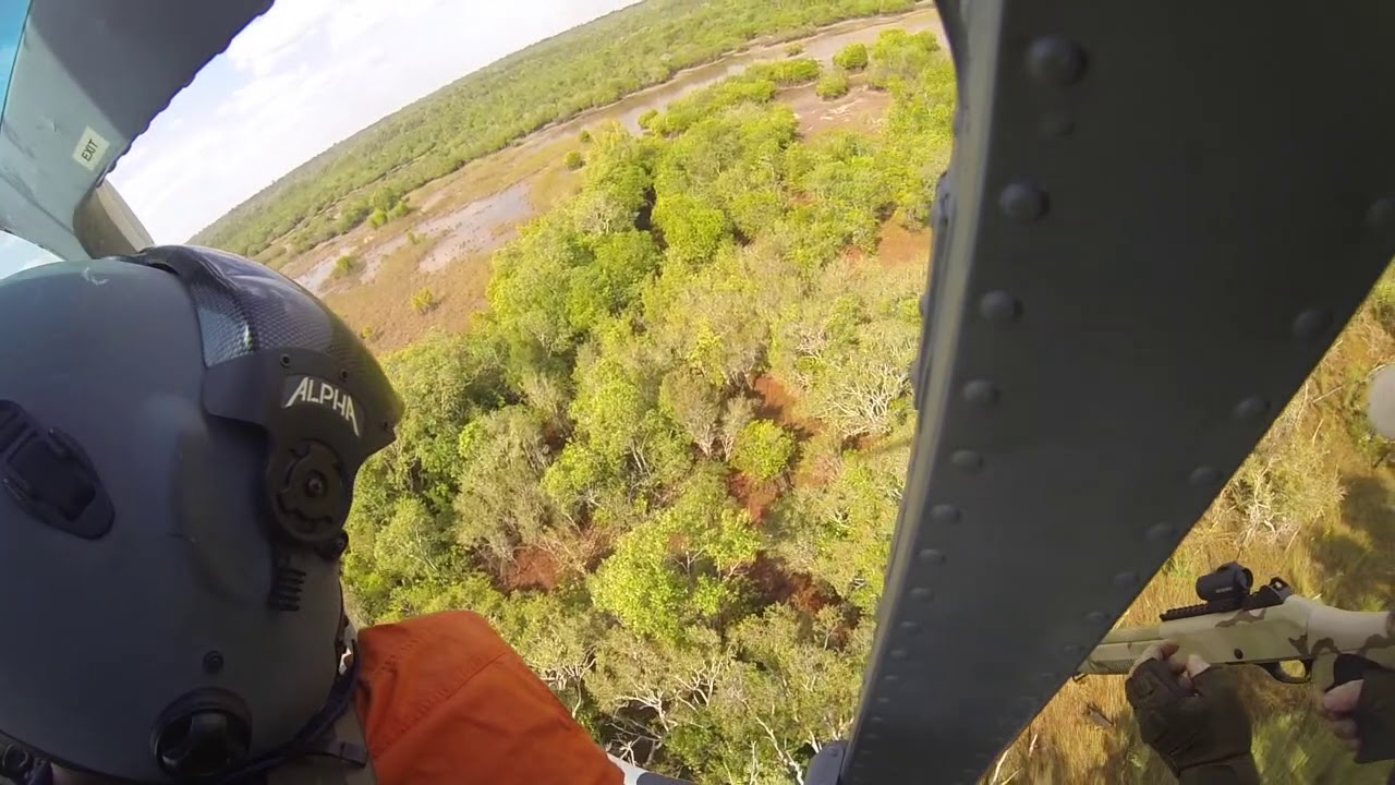 Feral pig control - how aerial shooting is most of the time - YouTube