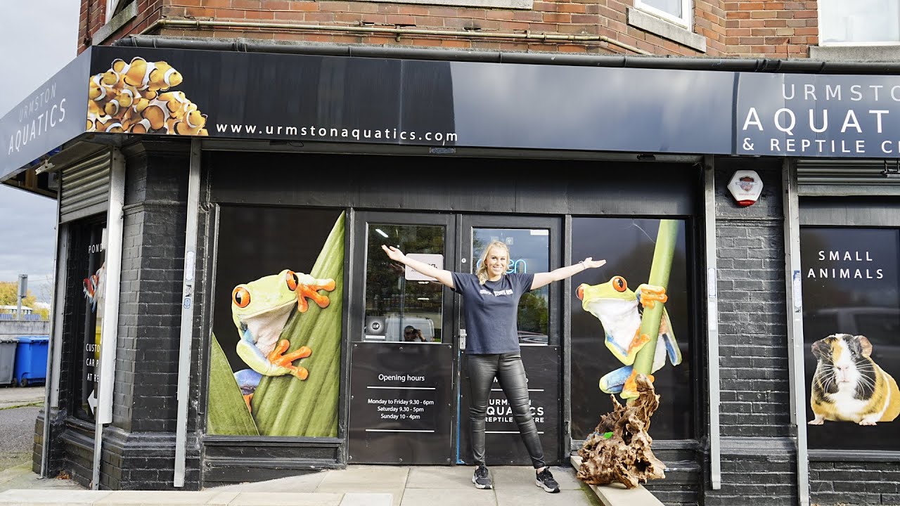 Out of the Offish with Colette Episode 2 - Urmston Aquatics local fish ...