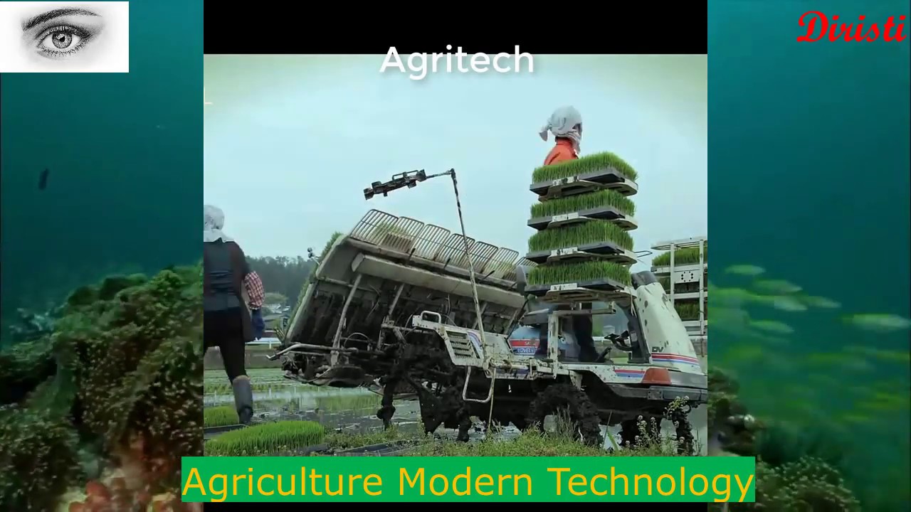 paddy plantation || paddy agriculture technology || ধান চাষ || paddy ...