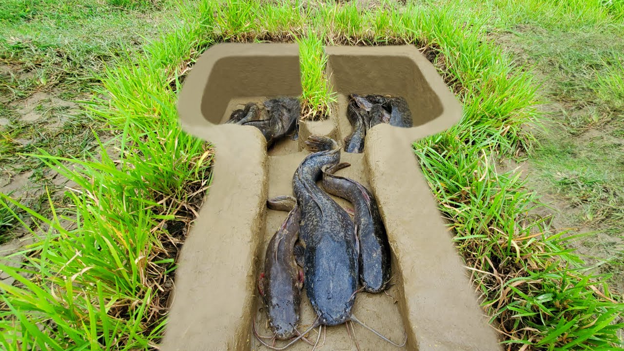 Amazing Fish Trap in The Deep Hole - Making an Underground Fish Trap ...