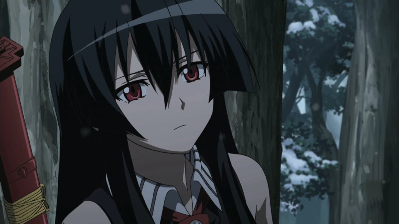 Tatsume & Esdeath「AMV」Akame ga Kill - Without You ᴴᴰ - YouTube