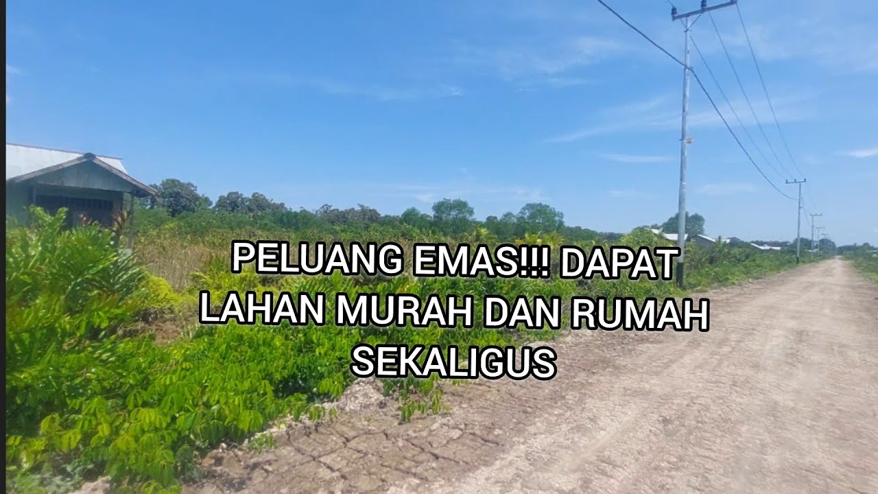 DI JUAL MURAH TANAH DAN RUMAH DI TRANSMIGRASI BULUNGAN KALIMANTAN UTARA ...