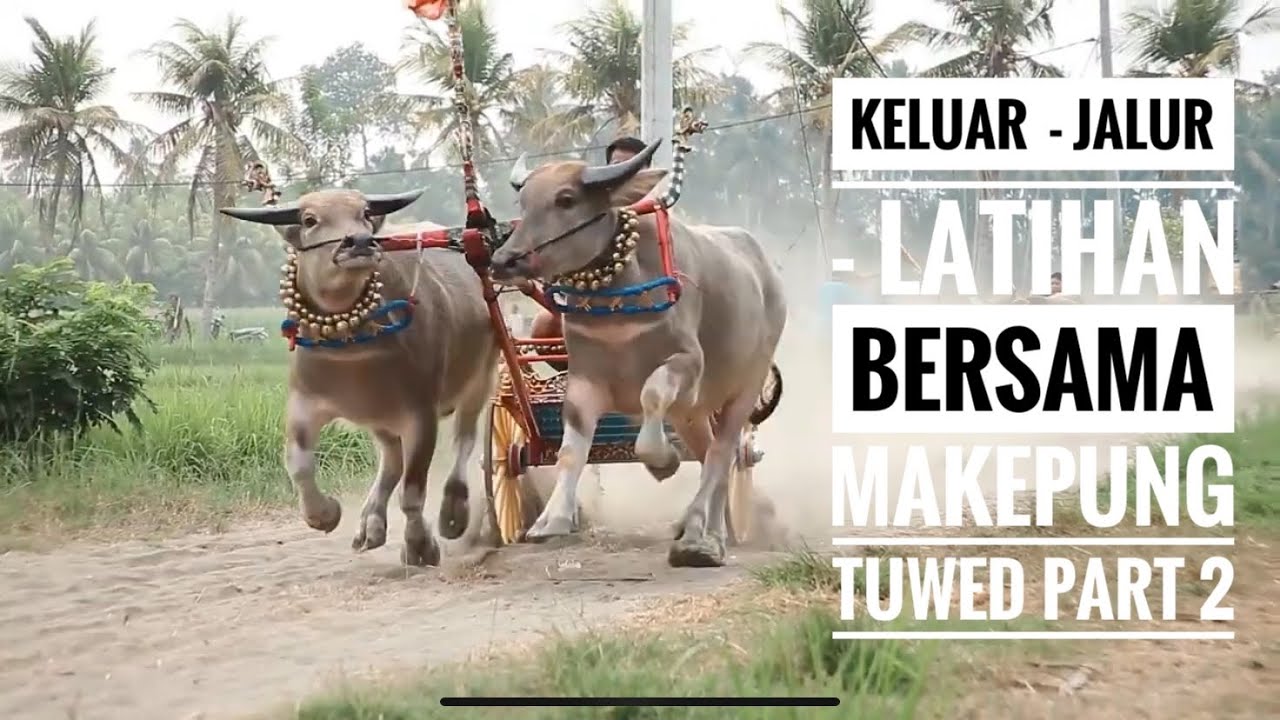 #101 LATIHAN BERSAMA - PART 2 - MAKEPUNG TUWED - MAKEPUNG JEMBRANA ...