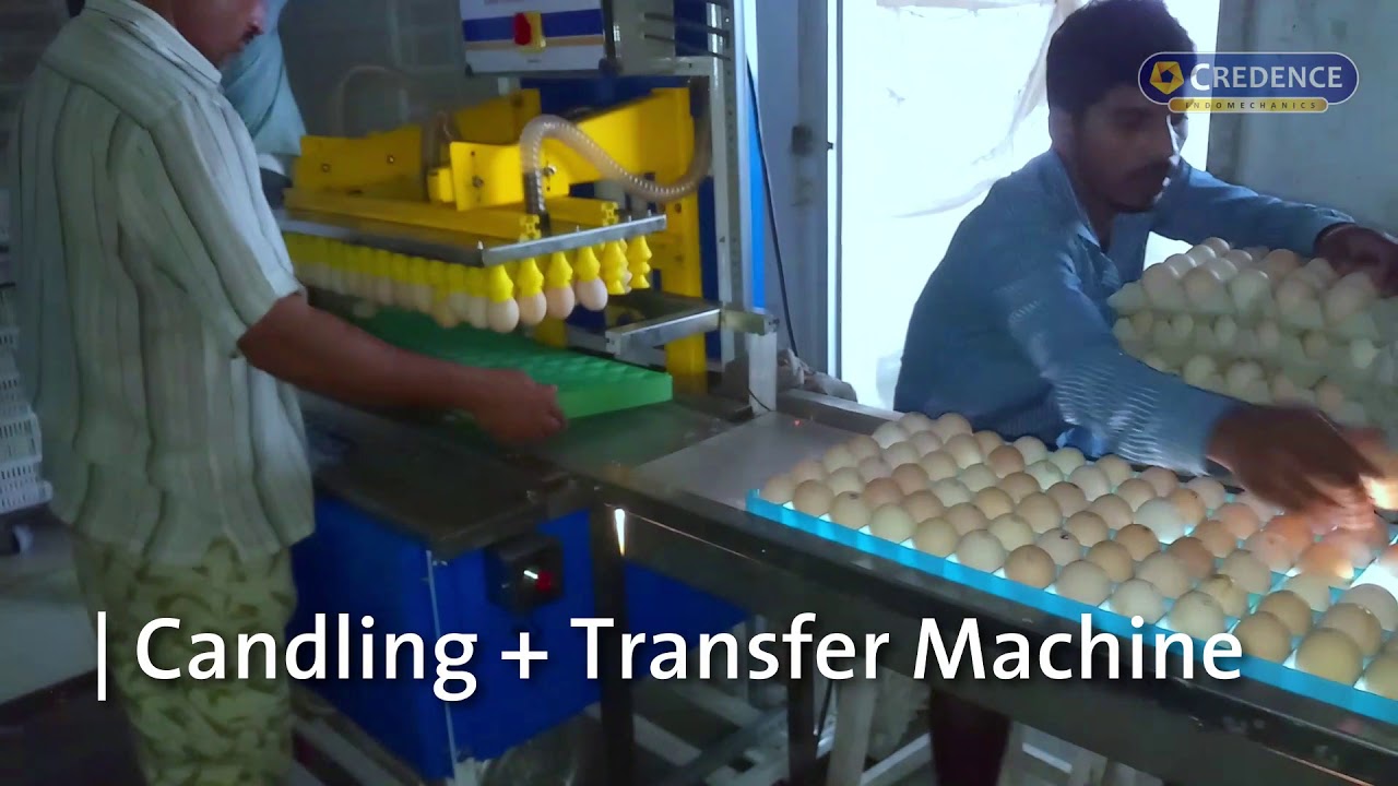 Credence Egg Candling + Transfer Machine - YouTube