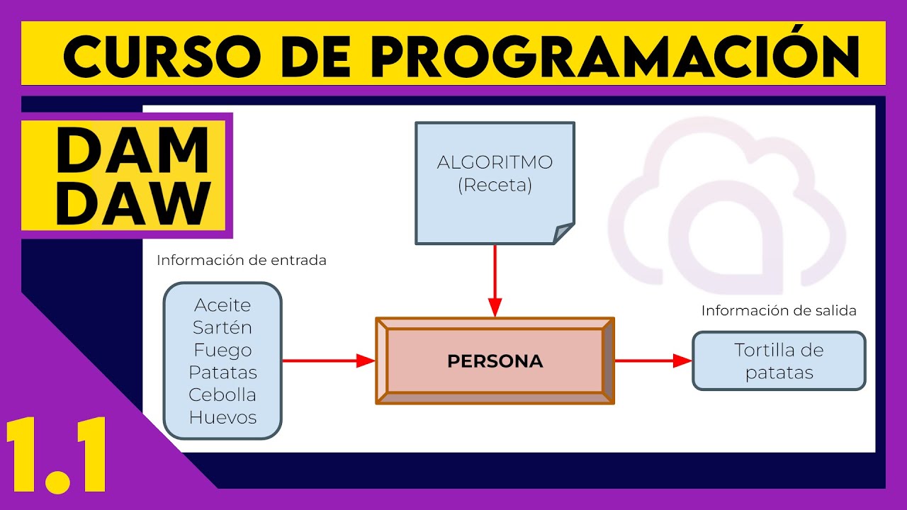 Introducción a la programación y los algoritmos ☕ DAM - DAW - YouTube