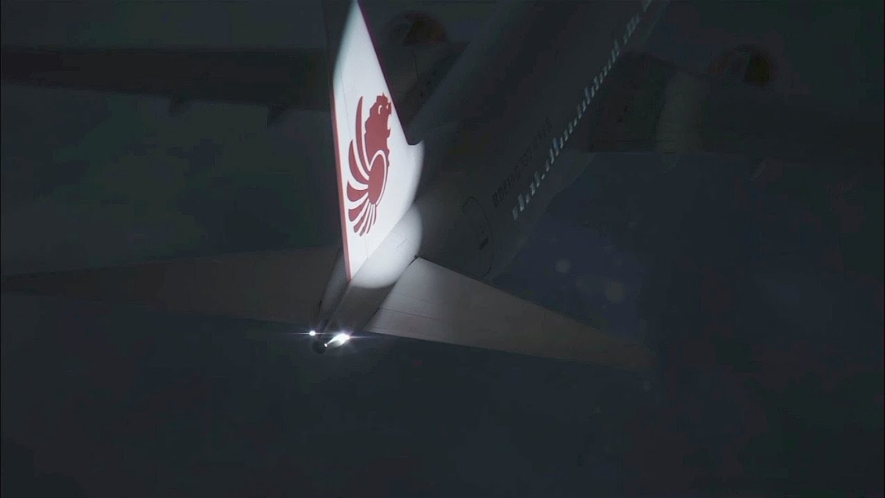 Lion Air Flight 043 - Landing Animation - YouTube