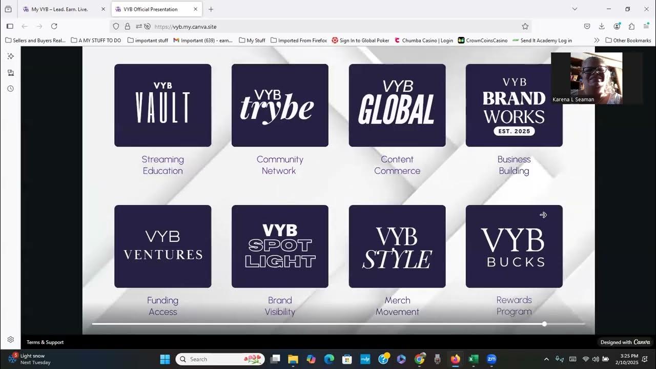 VYB and the Ecosystem Products Revealed for Entrepreneurs - YouTube