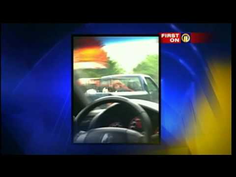 Girl Riding In Dog Crate Spotted On PA Turnpike