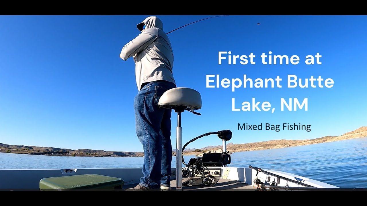 Elephant Butte Fishing - First Time Mixed Bag of Bass & Walleye - YouTube