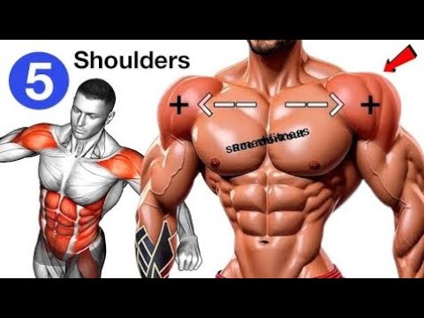 Best Shoulder Workout | Front Delt - Side Delts - Rear Delt | Maniac ...