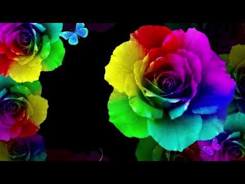 Açtım kollarımı kocaman sarıldım kendime, alnıma bir öpücük kondurdum.. 🌿 MUCİZE İÇİMİZDE BAŞLAR