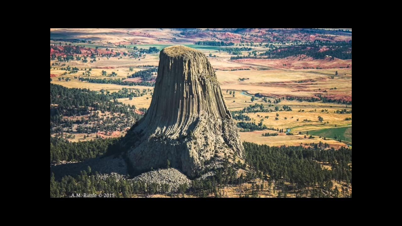There are NO forests on Earth - YouTube