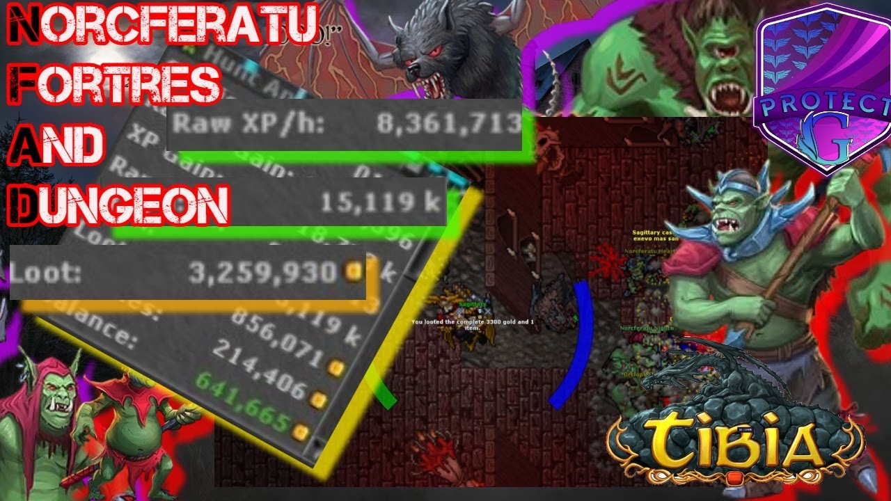 Tibia Hunt (Lv 500+) Norcferatus (Fortress and Dungeon) - YouTube