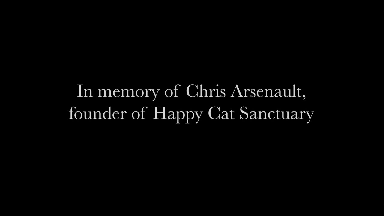 In memory of Chris Arsenault, founder of Happy Cat Sanctuary - YouTube