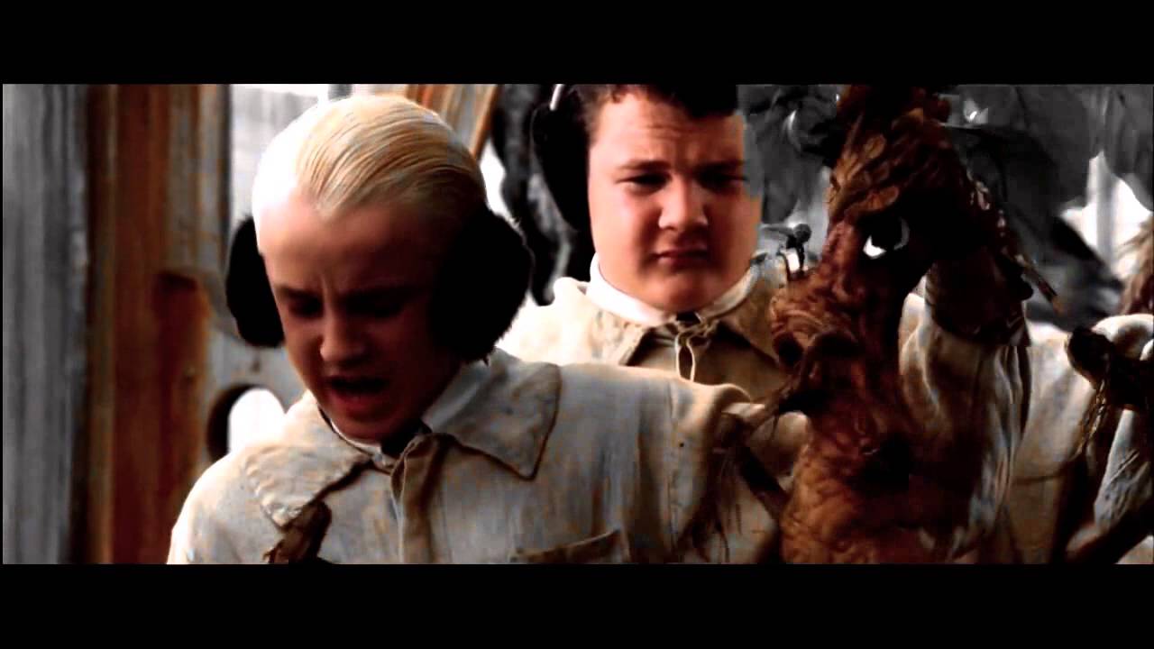 Draco Malfoy | 99 Problems MEP part 6 - YouTube