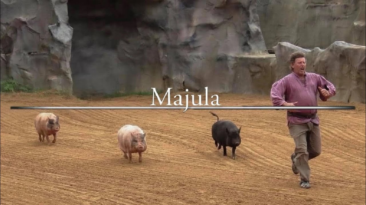 All the sound effects - YouTube