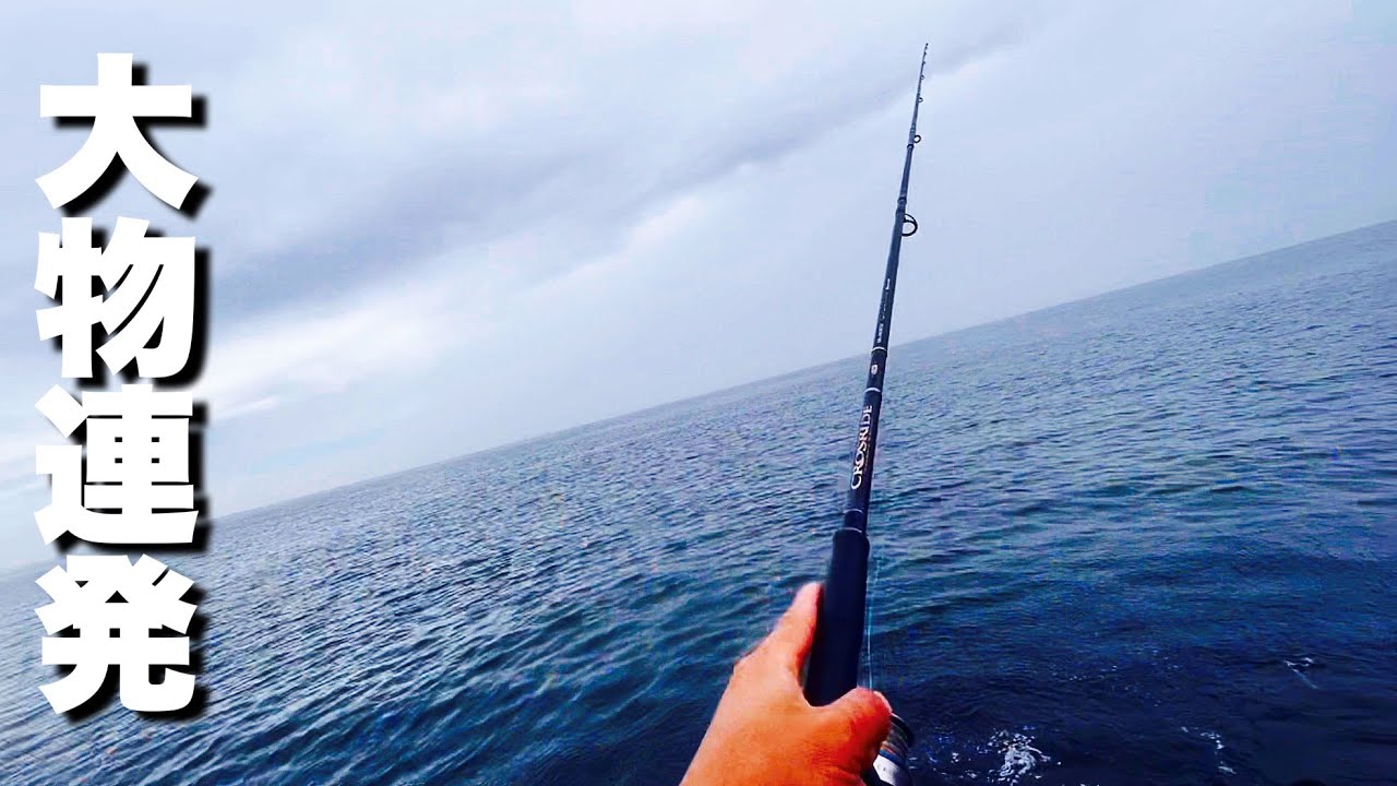 最高の刺身としゃぶしゃぶを釣る。 - YouTube