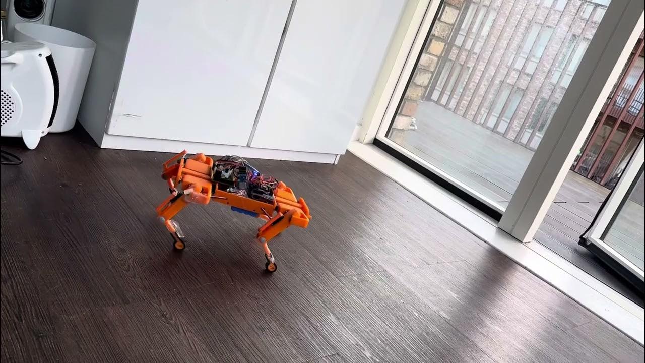 QUADRUPED ROBOT FOX - GREEN GHOST ELECTRONICS - LARA THE WITCH - WIRELESS - YouTube