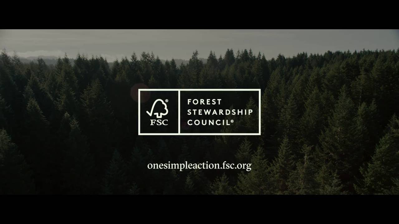 FSC: One Simple Action - YouTube