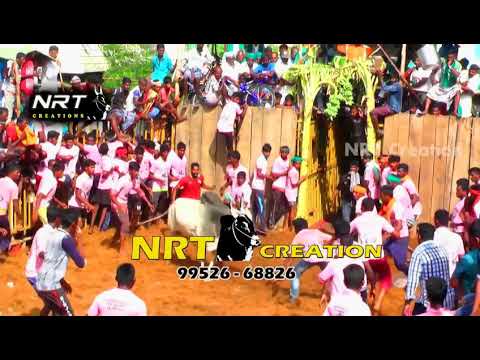 Kokkudi  A.V.M.JANA