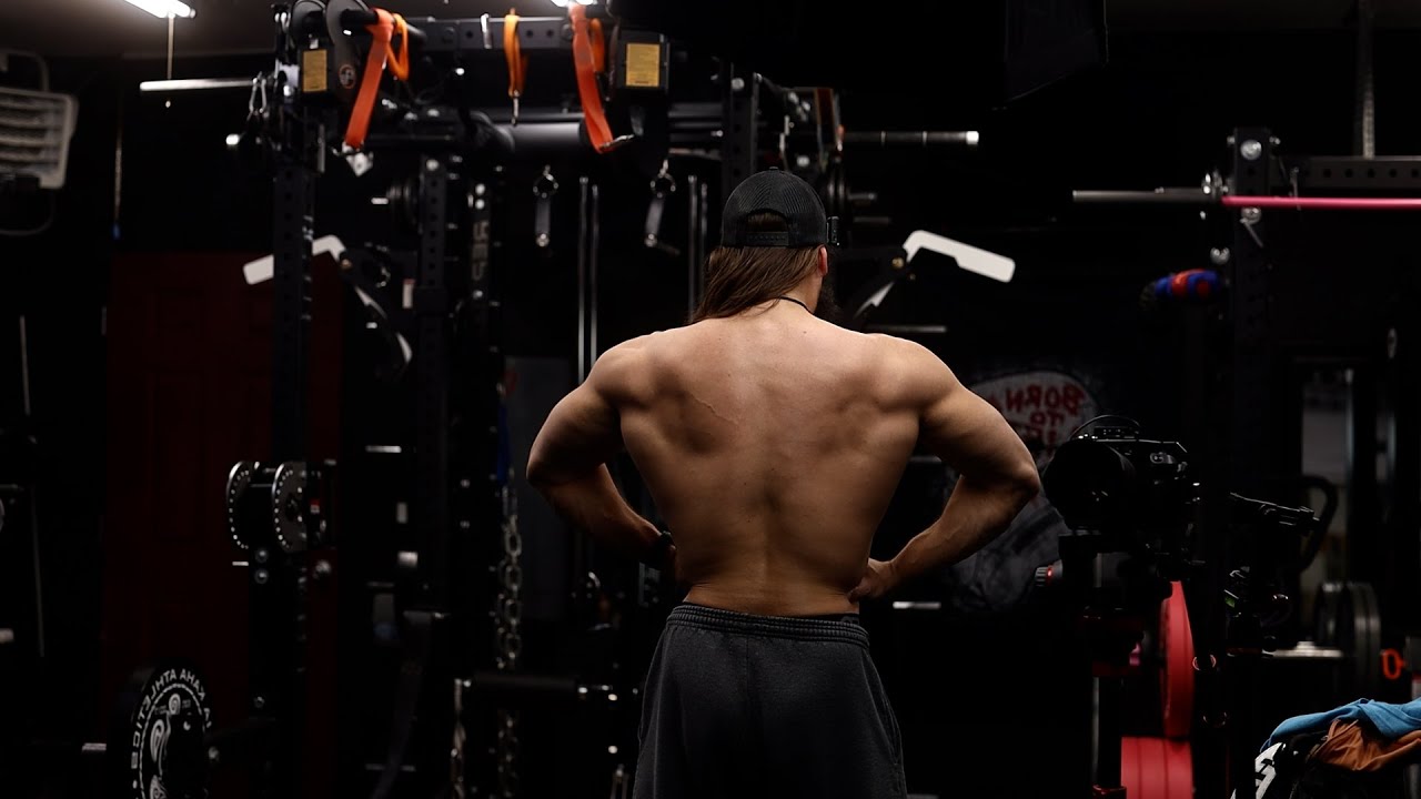 Training Log - Day 13 - Glutes Hams Back Traps - YouTube