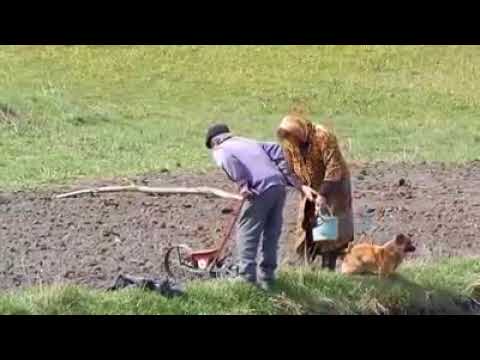 Prikolai 2018-05-01 - YouTube