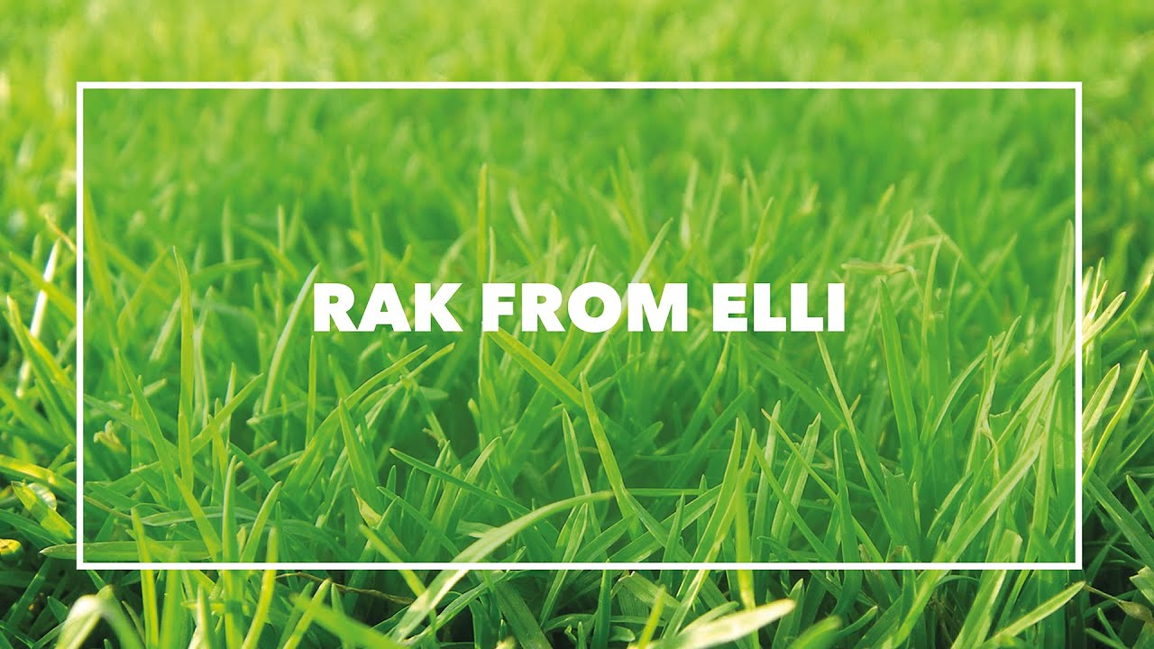 RAK from Elli - YouTube