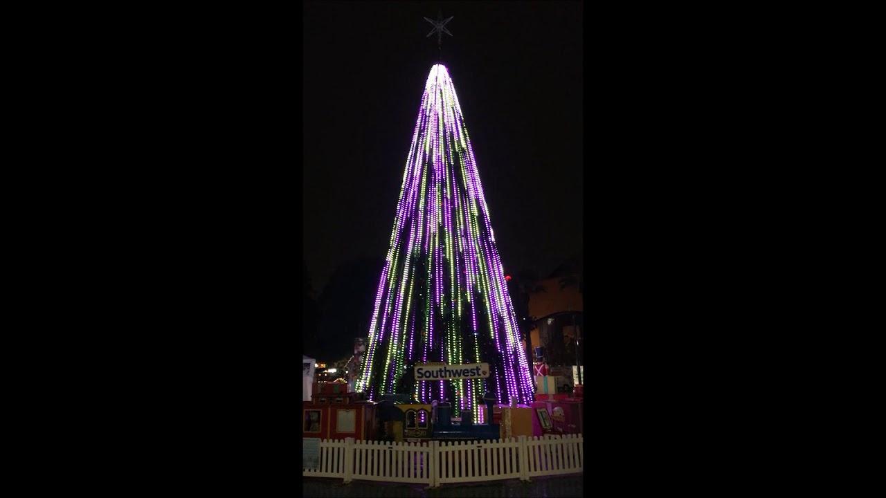 Christmas in the Park, San Jose, CA #1 - Lighted Christmas Tree (2019 ...