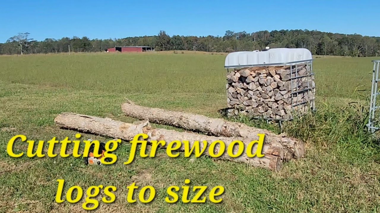 Cutting firewood logs to size for the log splitter - YouTube