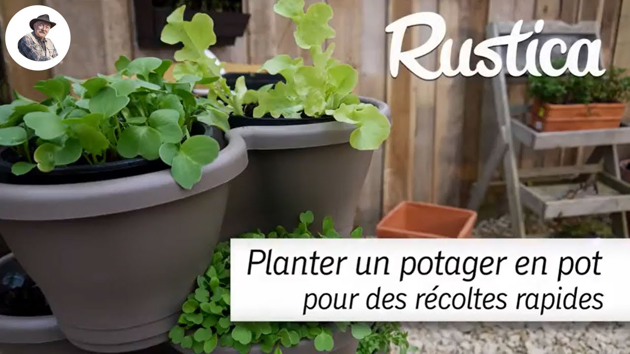 Un potager en pot pour des récoltes rapides - YouTube