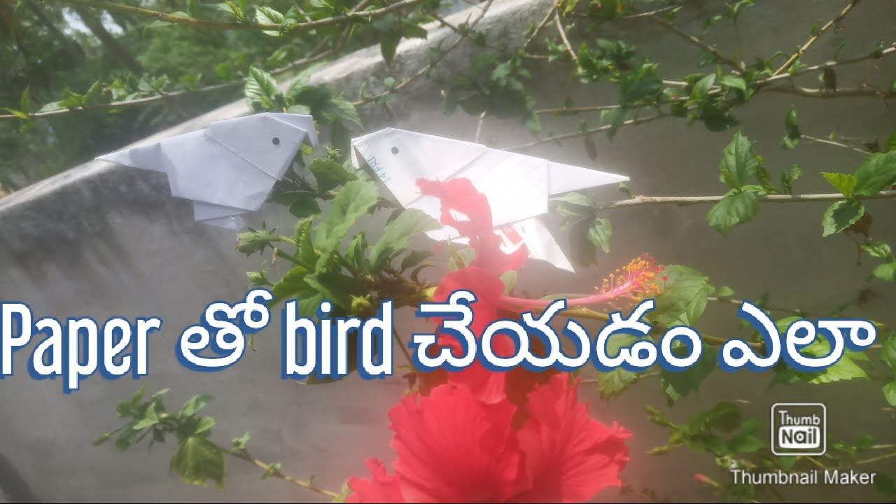 bird paper craft diy Paper Tho Bird Cheyadam Ela How To Make Bird bird-paper-craft-diy-paper-tho-bird-cheyadam-ela-how-to-make-bird