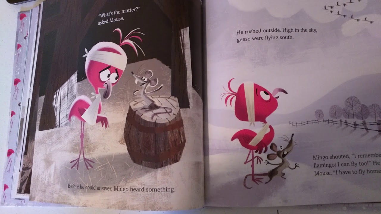 Mingo the Flamingo - YouTube