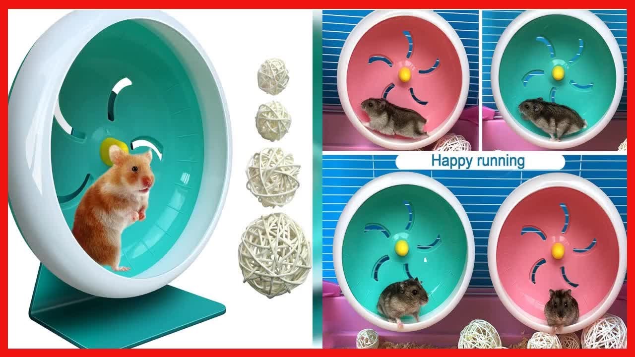 Quality product - Hamster Wheel,Silent Hamster Wheel,Silent Spinner ...