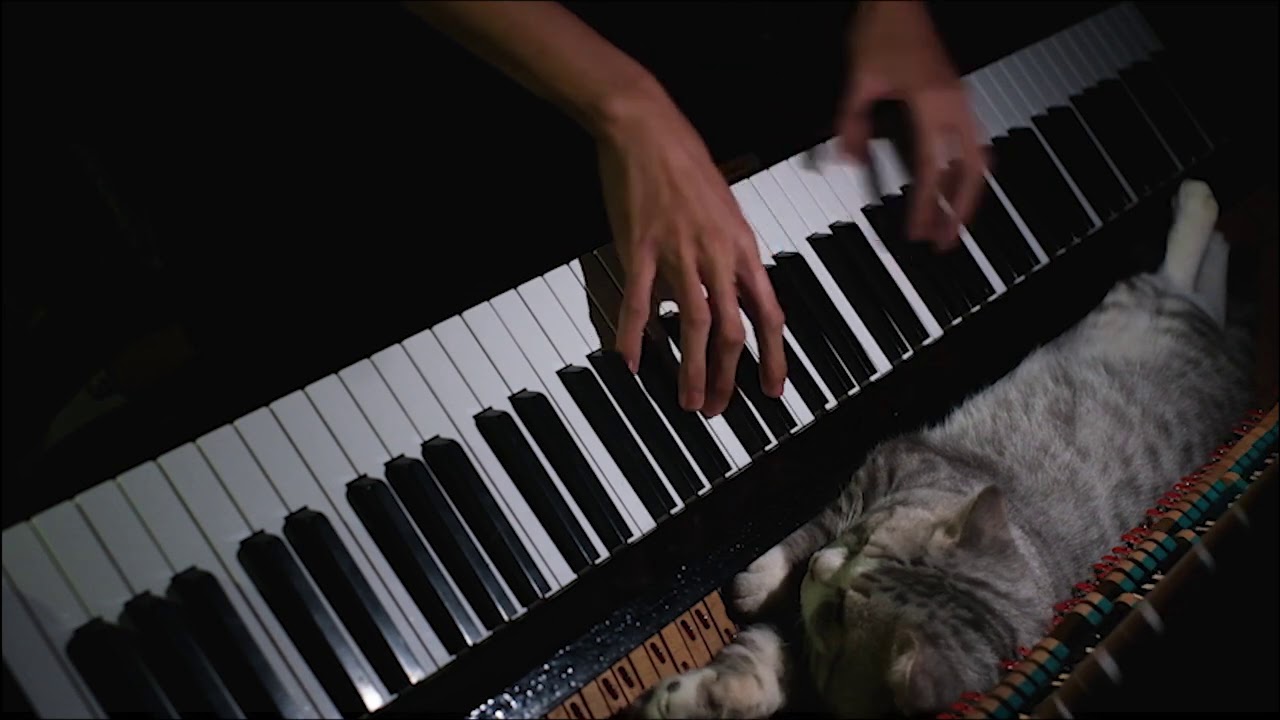 LSD - Genius ft. Sia, Diplo, Labrinth - YouTube