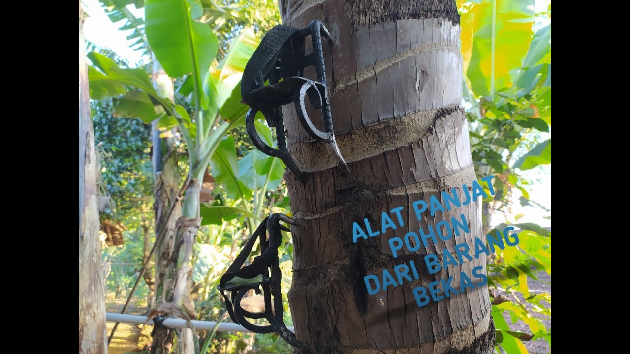 cara membuat alat panjat pohon coba saya buat... - YouTube