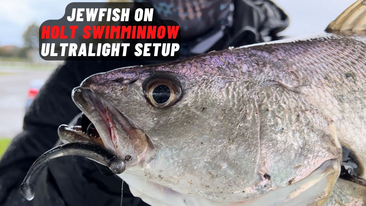 Jewfish/Mulloway on Ultralight setup - YouTube