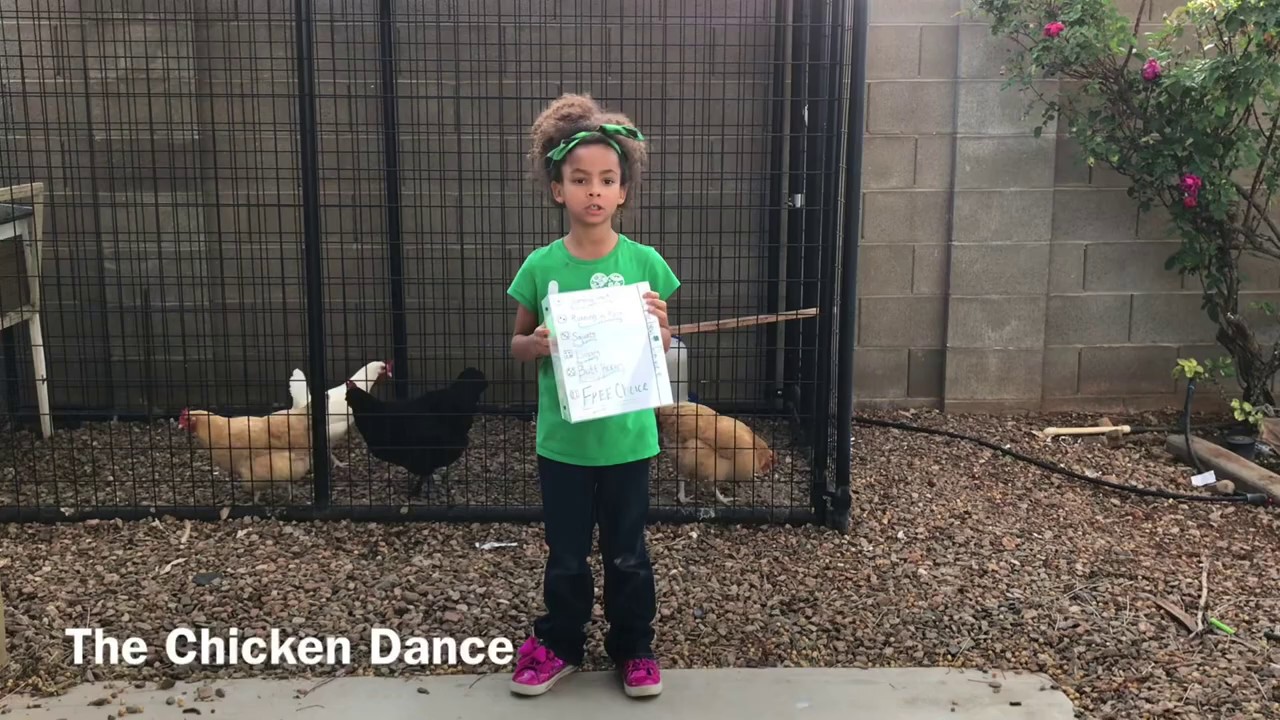 Chicken Dance Dice Game - YouTube