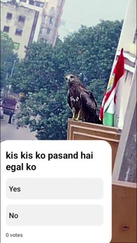 Cute egal 😍so nice 🤔#comedy - YouTube